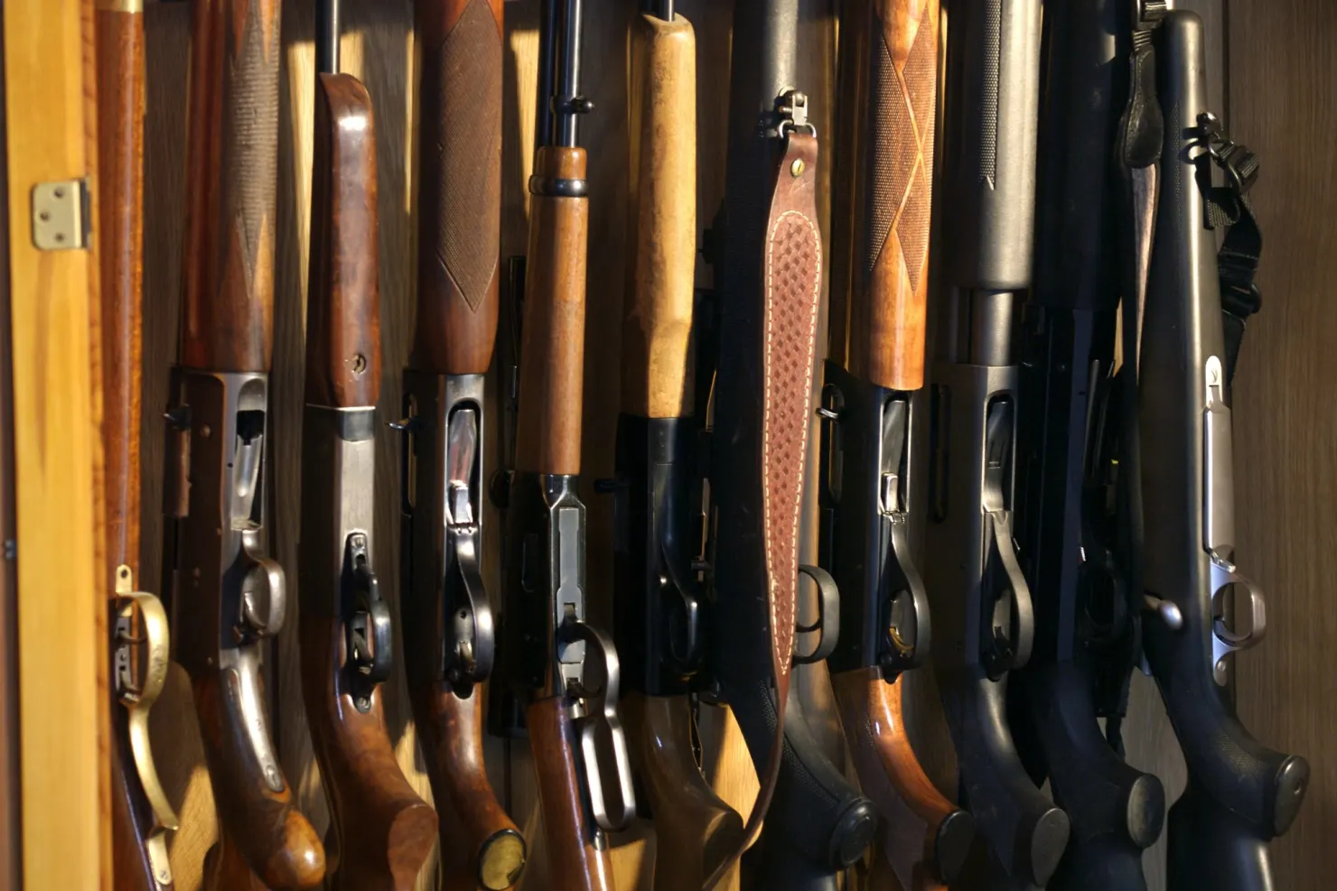 Firearm Laws Referred to Upper House Committee - Leader of the Opposition